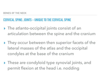 Bones of the neck | PDF