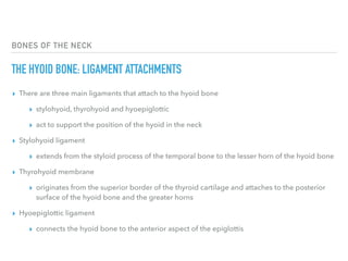 Bones of the neck | PPT