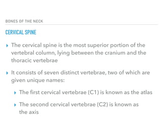 Bones of the neck | PDF