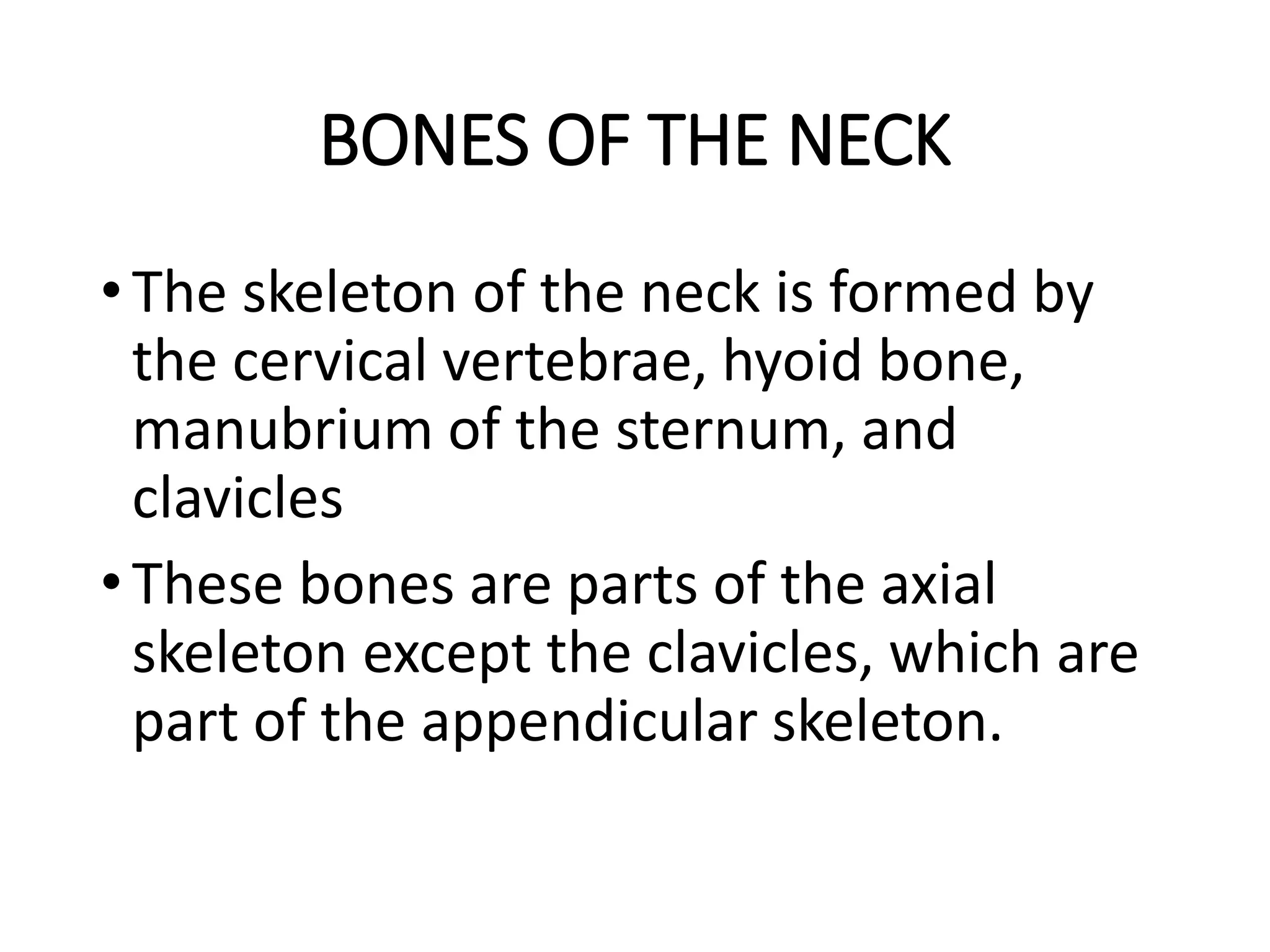 BONES OF THE NECK.ppt