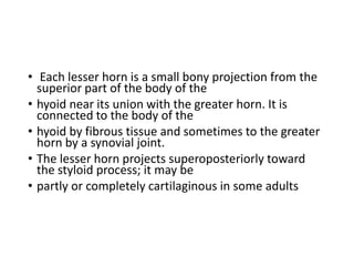 BONES OF THE NECK.ppt