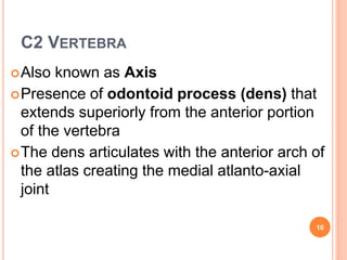 BONES OF THE NECK.pptx