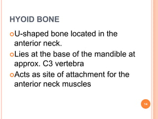 BONES OF THE NECK.pptx