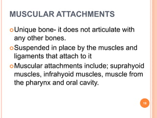 BONES OF THE NECK.pptx