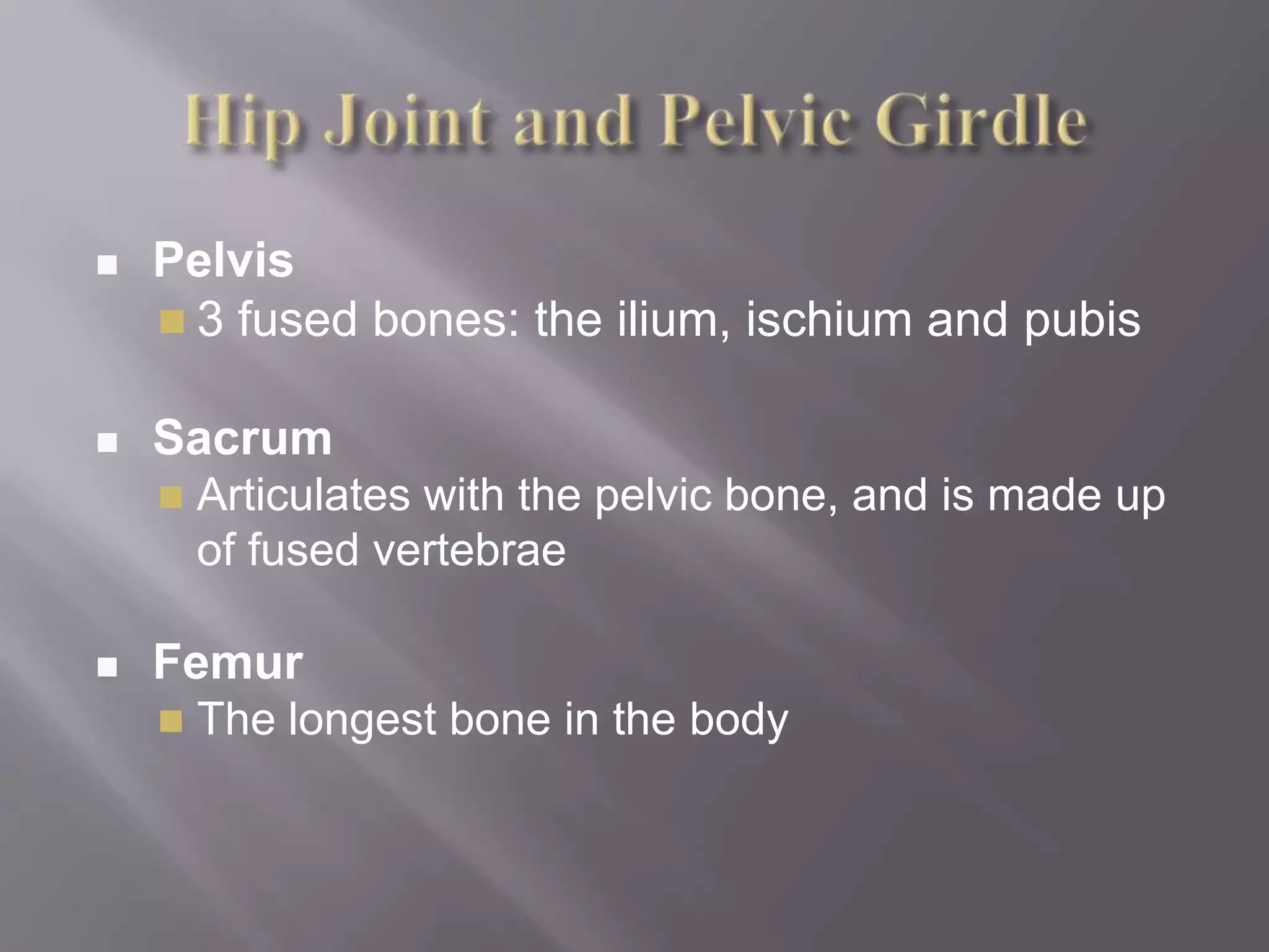 Bones of the pelvic girdle | PPTX