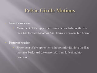 Bones of the pelvic girdle | PPTX