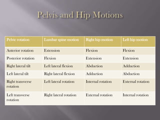 Bones of the pelvic girdle | PPTX