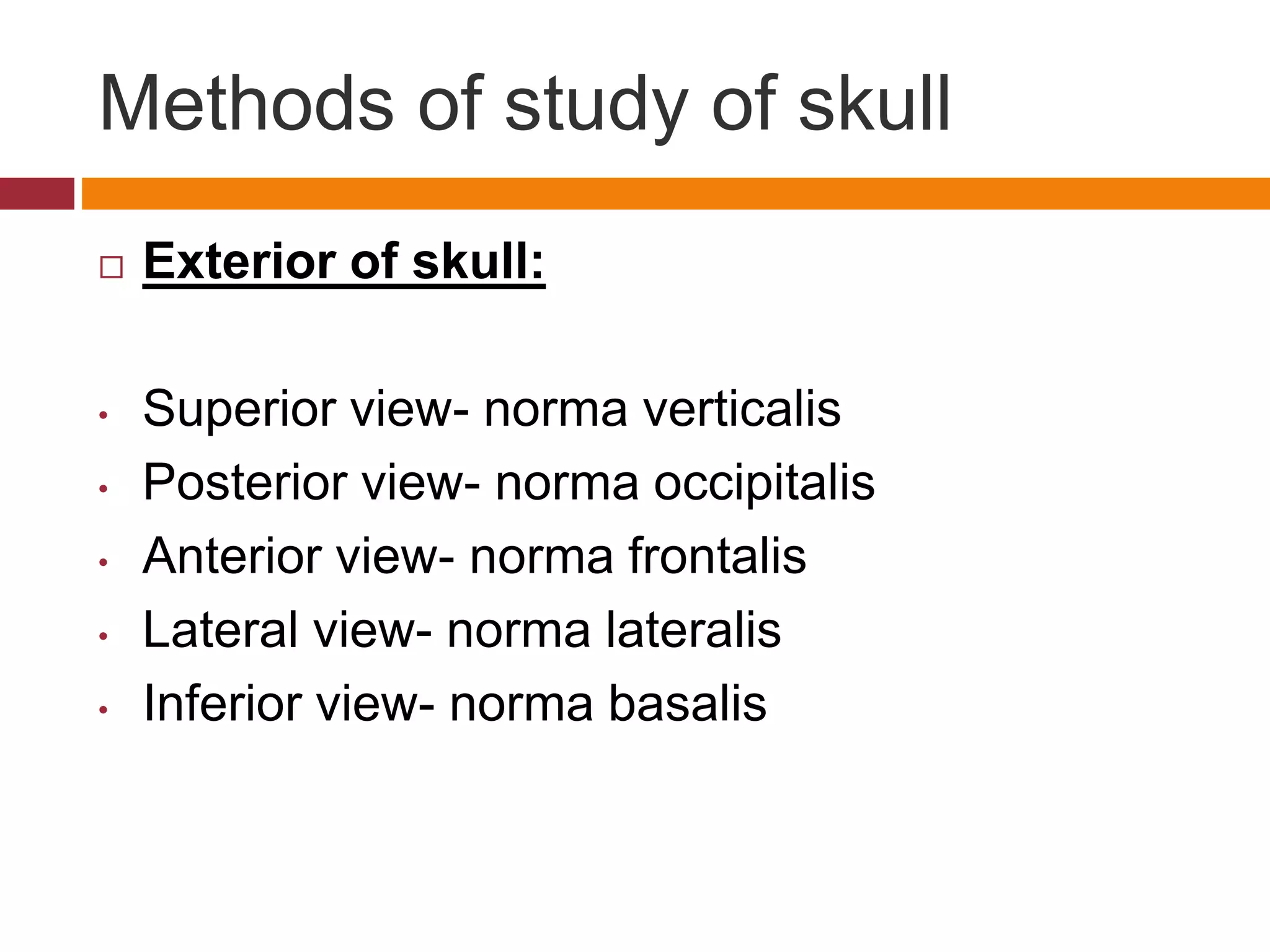 Bones of the skull | PPTX