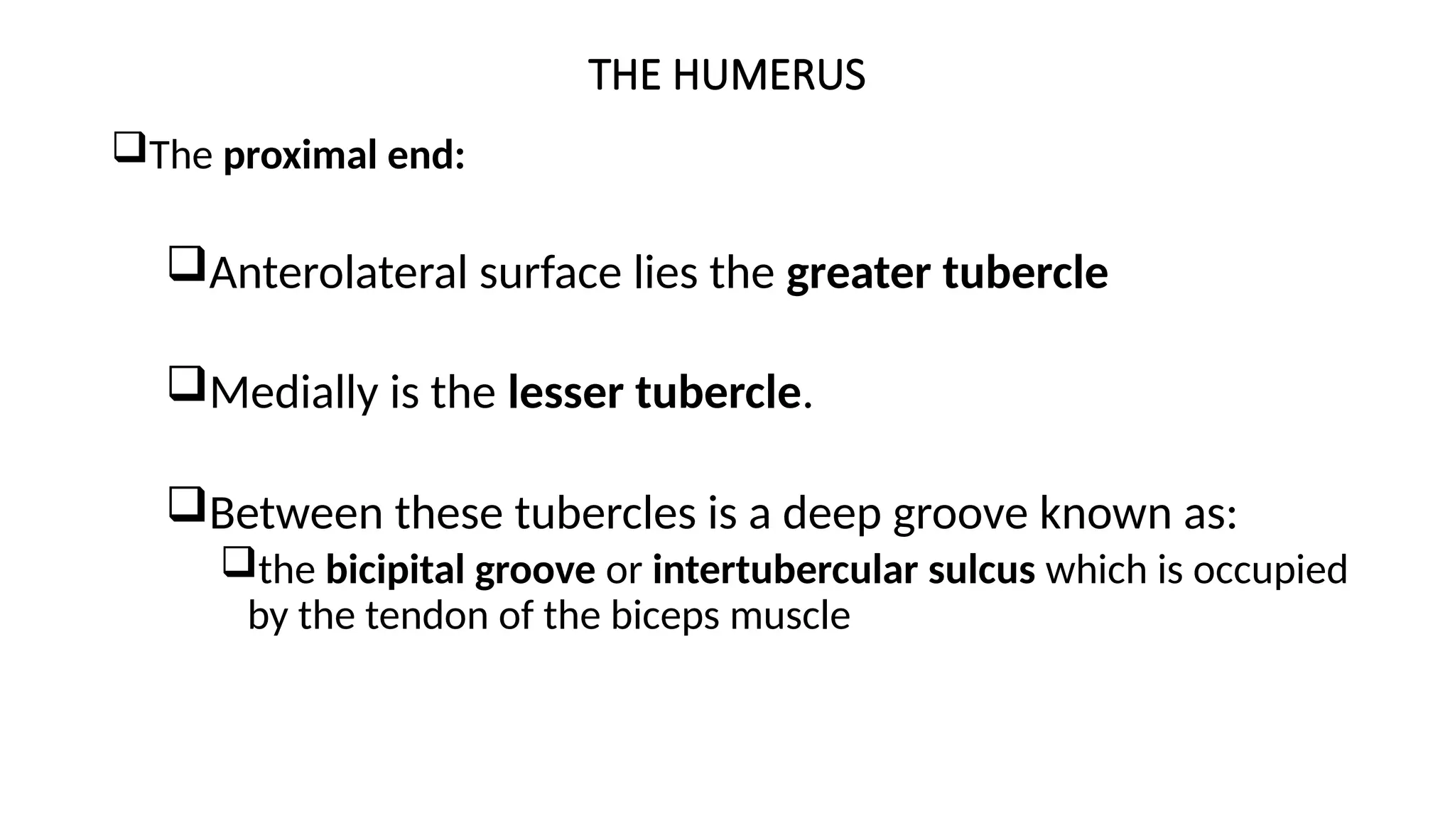 Bones of the upper extremities or limbs. | PPT