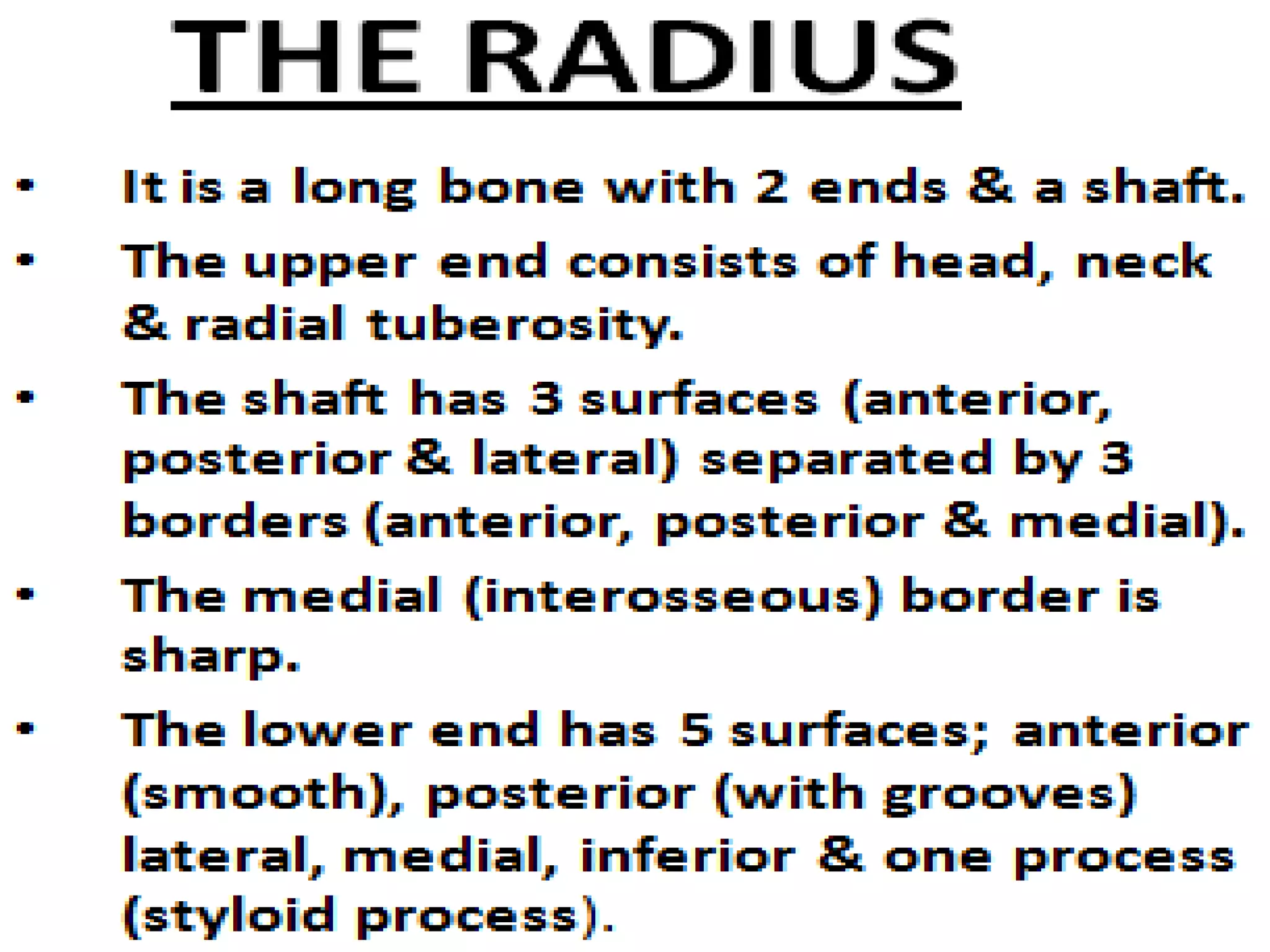 bones of Upper limbs and anatomy of upper limbs | PPTX