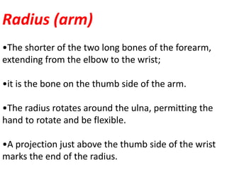 bones of Upper limbs and anatomy of upper limbs | PPTX