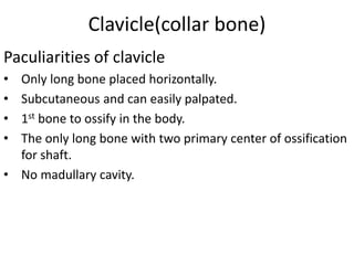 bones of Upper limbs and anatomy of upper limbs | PPTX
