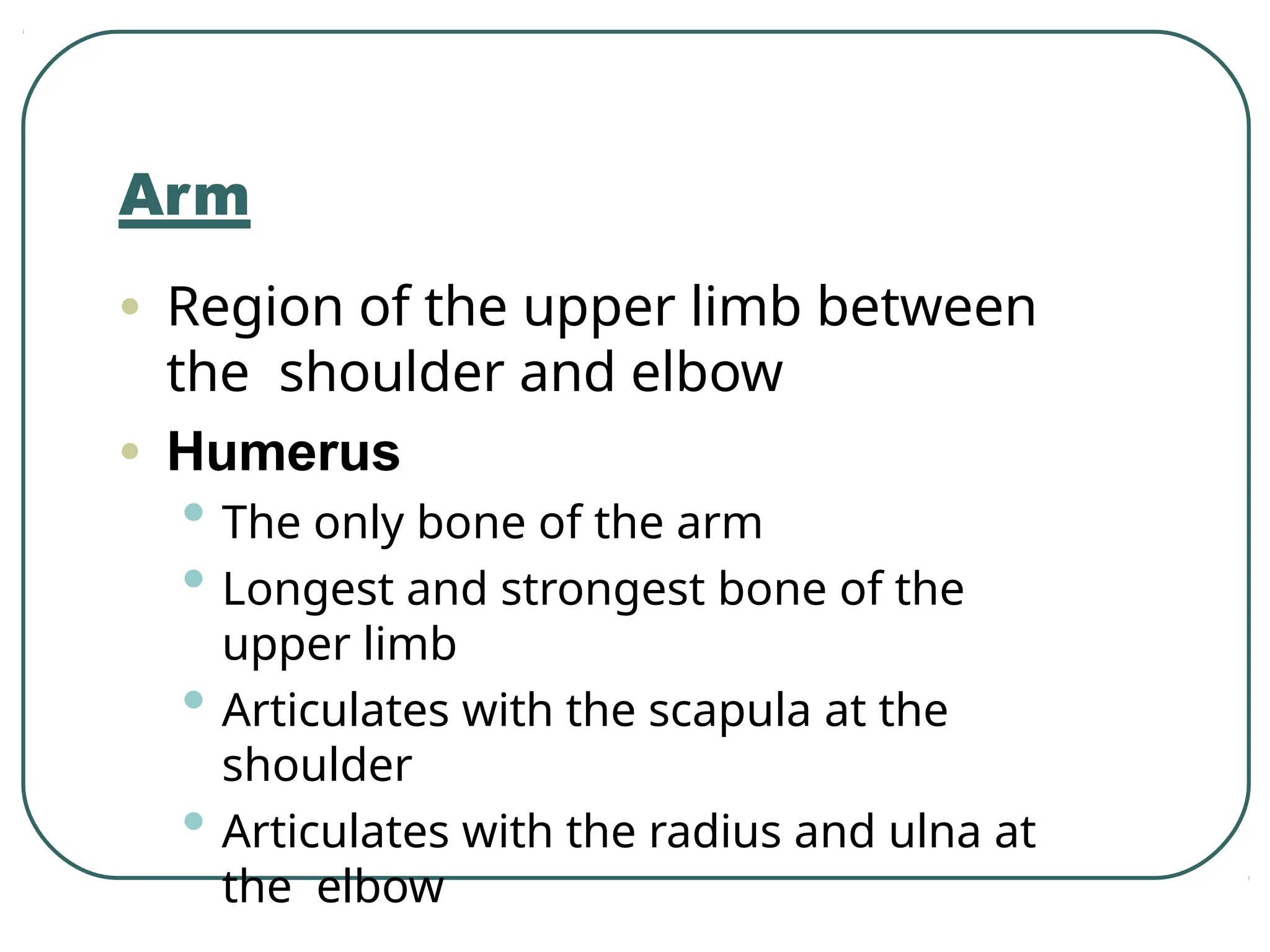 bones of upper limbs . pptx , anatomy,, | PPTX