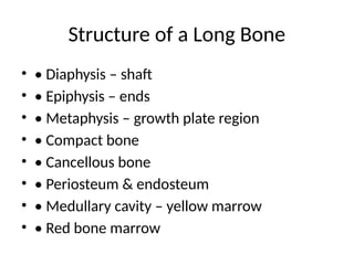 Skeletal system.pptx with name and parts of bone | PPTX