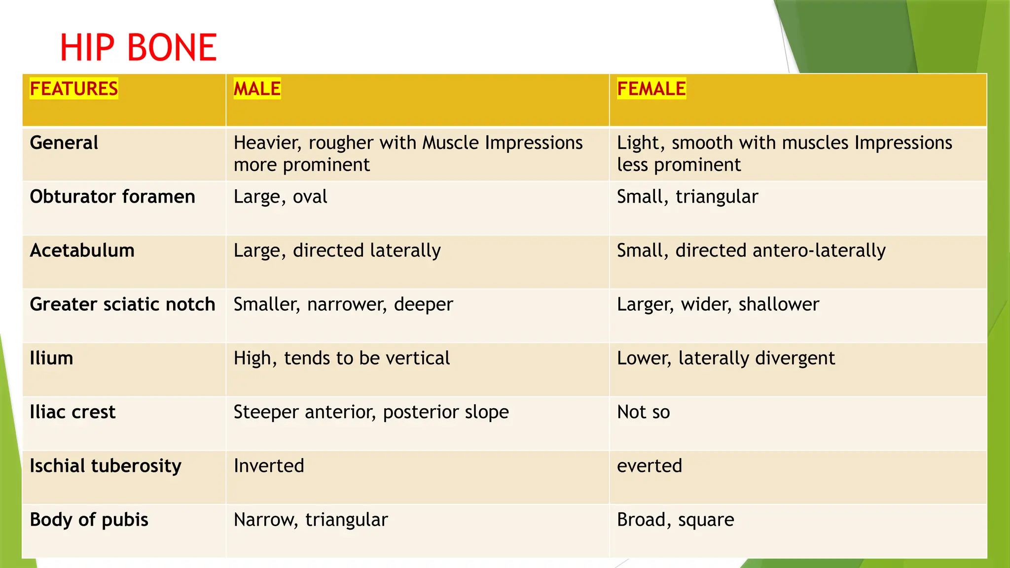 Bones Revision.pptx....................................... | PPTX