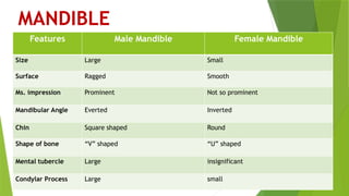 Bones Revision.pptx....................................... | PPTX