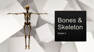 Bones & Skeleton1.pptx