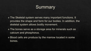 Bones & Skeleton1.pptx