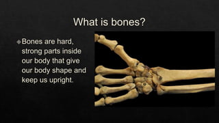 Bones & Skeleton1.pptx