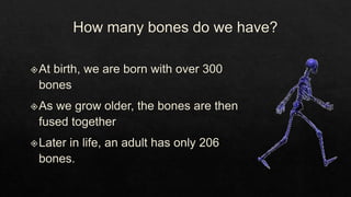Bones & Skeleton1.pptx