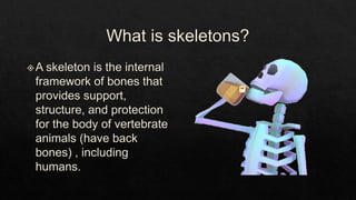 Bones & Skeleton1.pptx