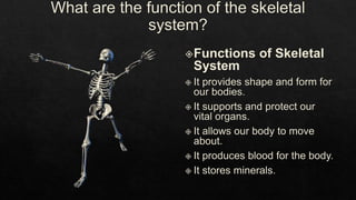 Bones & Skeleton1.pptx