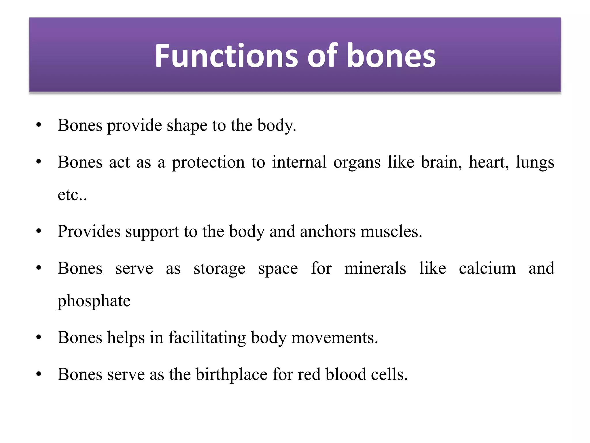 bones_Skeleton system.pptx