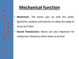 bones_Skeleton system.pptx