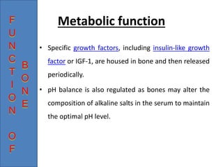 bones_Skeleton system.pptx