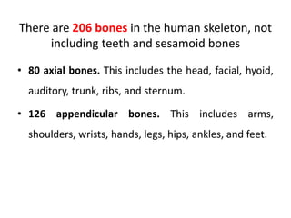 bones_Skeleton system.pptx