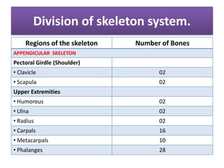 bones_Skeleton system.pptx | Death, Injury, or Military Conflict ...