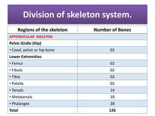 bones_Skeleton system.pptx