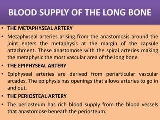 bones_Skeleton system.pptx