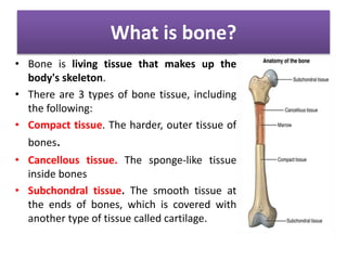 bones_Skeleton system.pptx