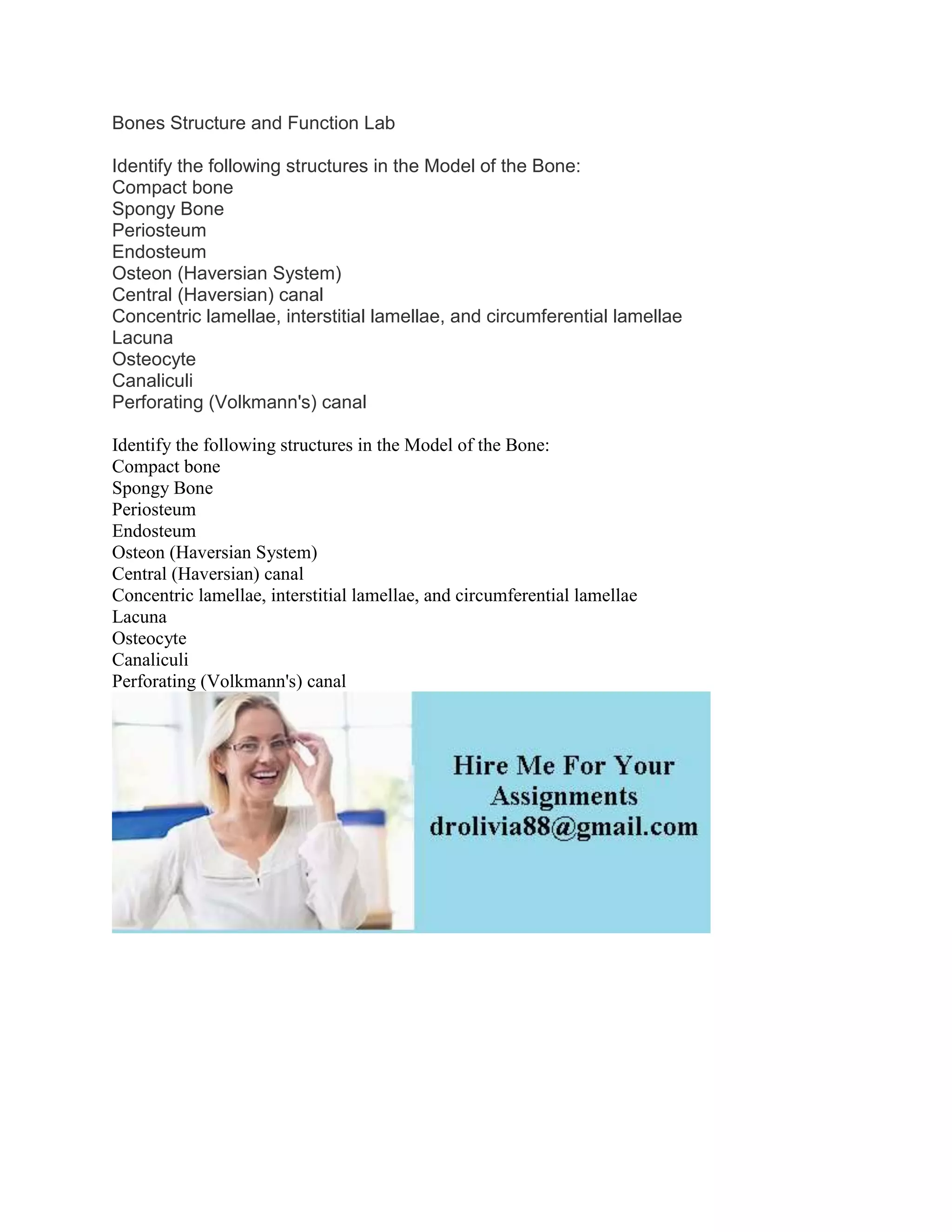 Bones Structure and Function Lab Identify the following structures in.docx