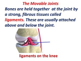 Bones that move | PPT