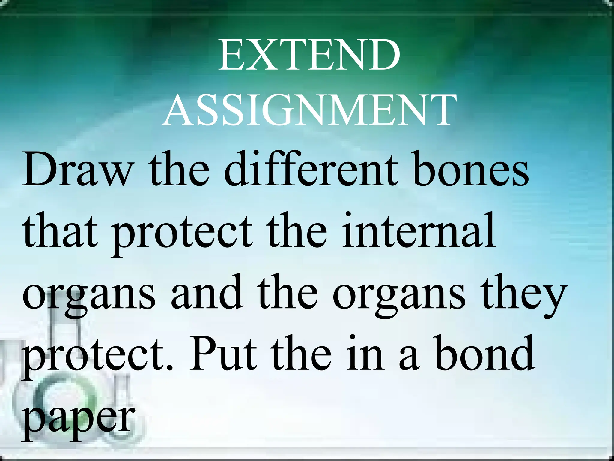 Bones that protect the internal organs.pptx