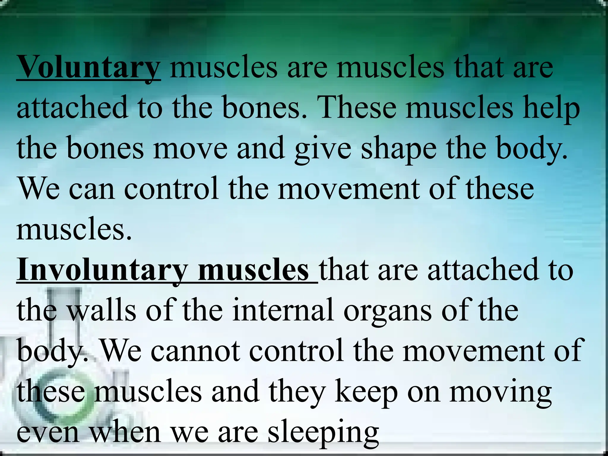 Bones that protect the internal organs.pptx