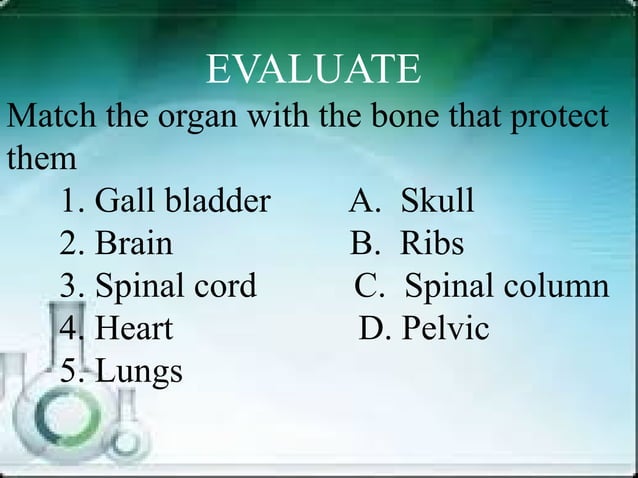 Bones that protect the internal organs.pptx