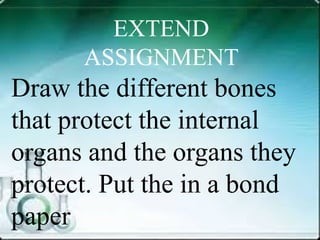 Bones that protect the internal organs.pptx