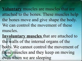 Bones that protect the internal organs.pptx