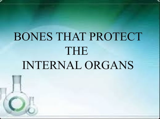 Bones that protect the internal organs.pptx