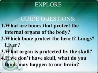 Bones that protect the internal organs.pptx