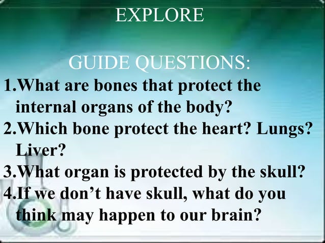 Bones that protect the internal organs.pptx