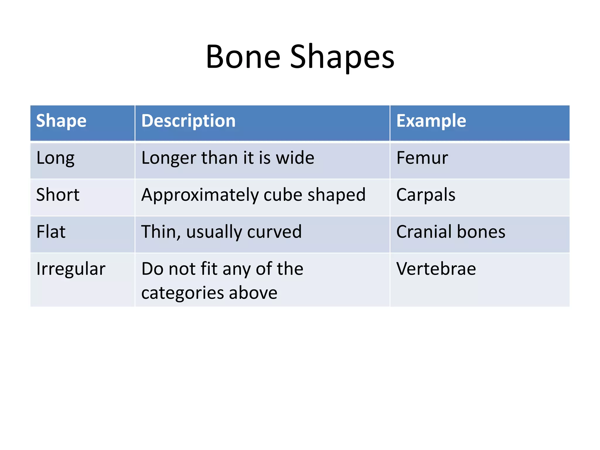 Bone structure | PPTX