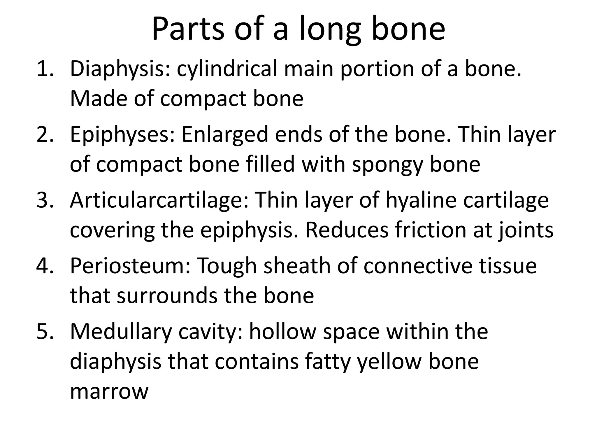 Bone structure | PPTX