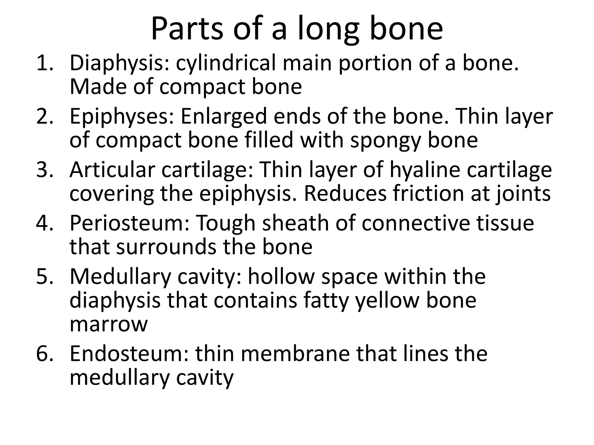 Bone structure | PPTX