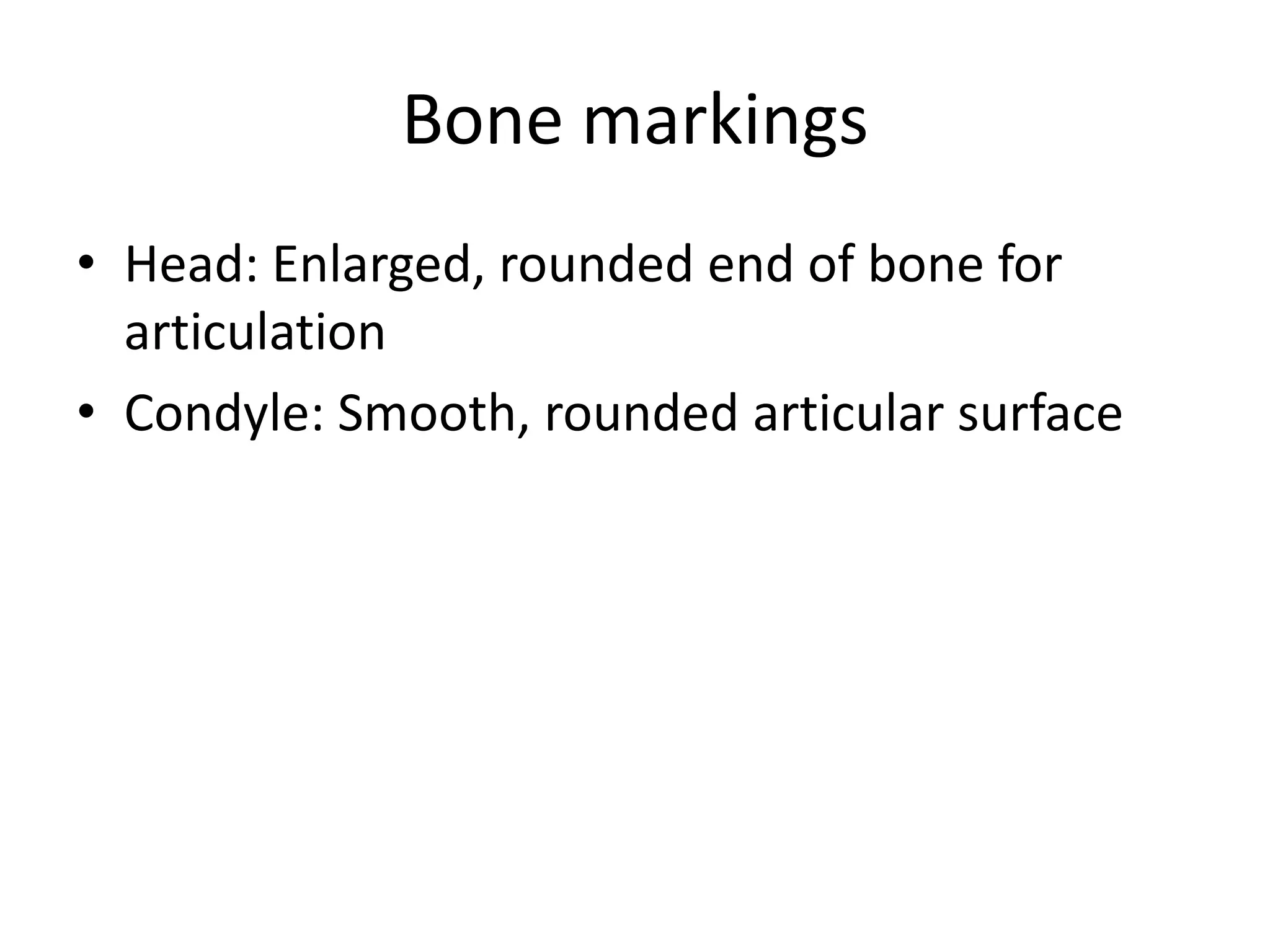 Bone structure | PPTX