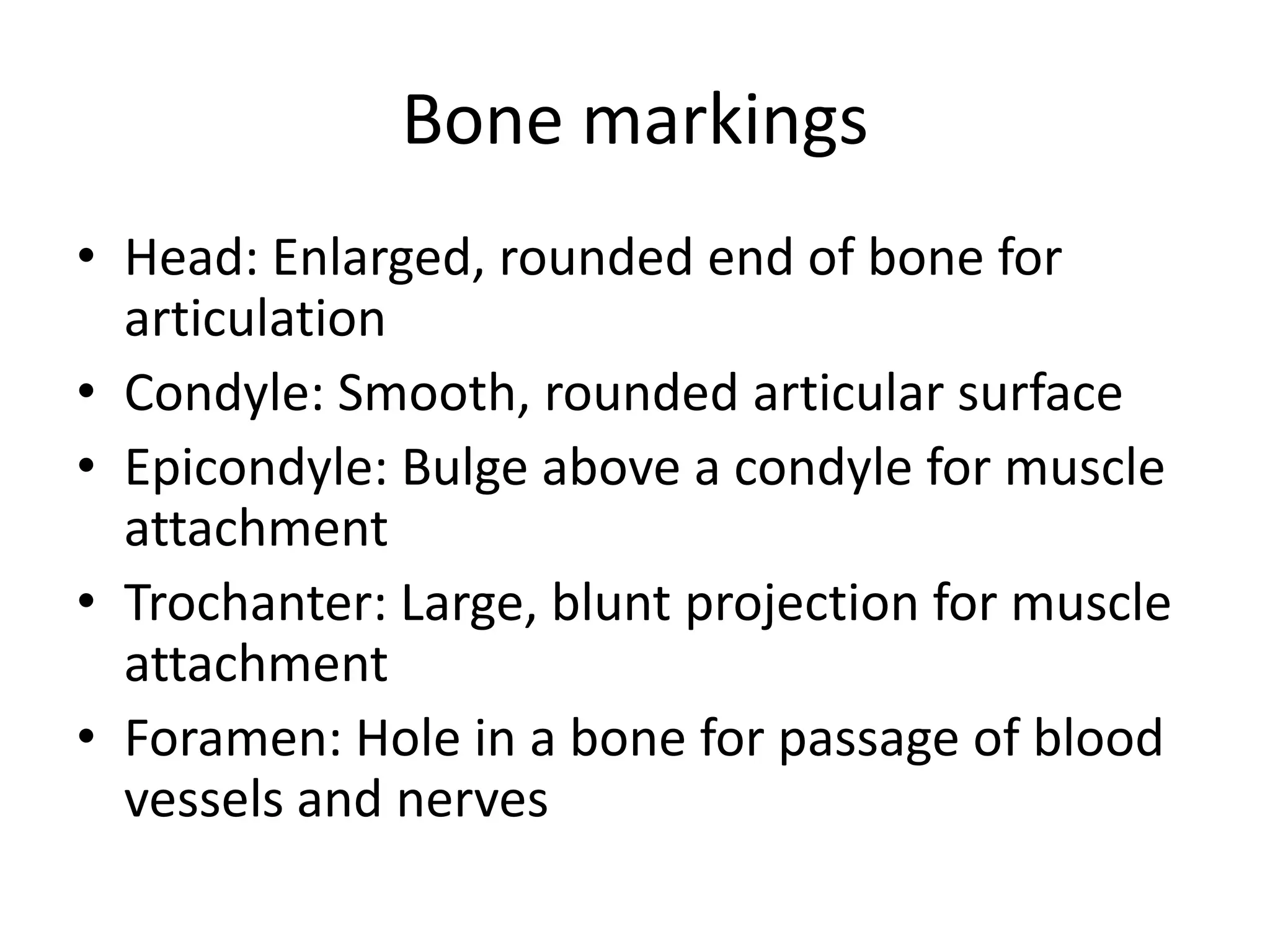 Bone structure | PPTX