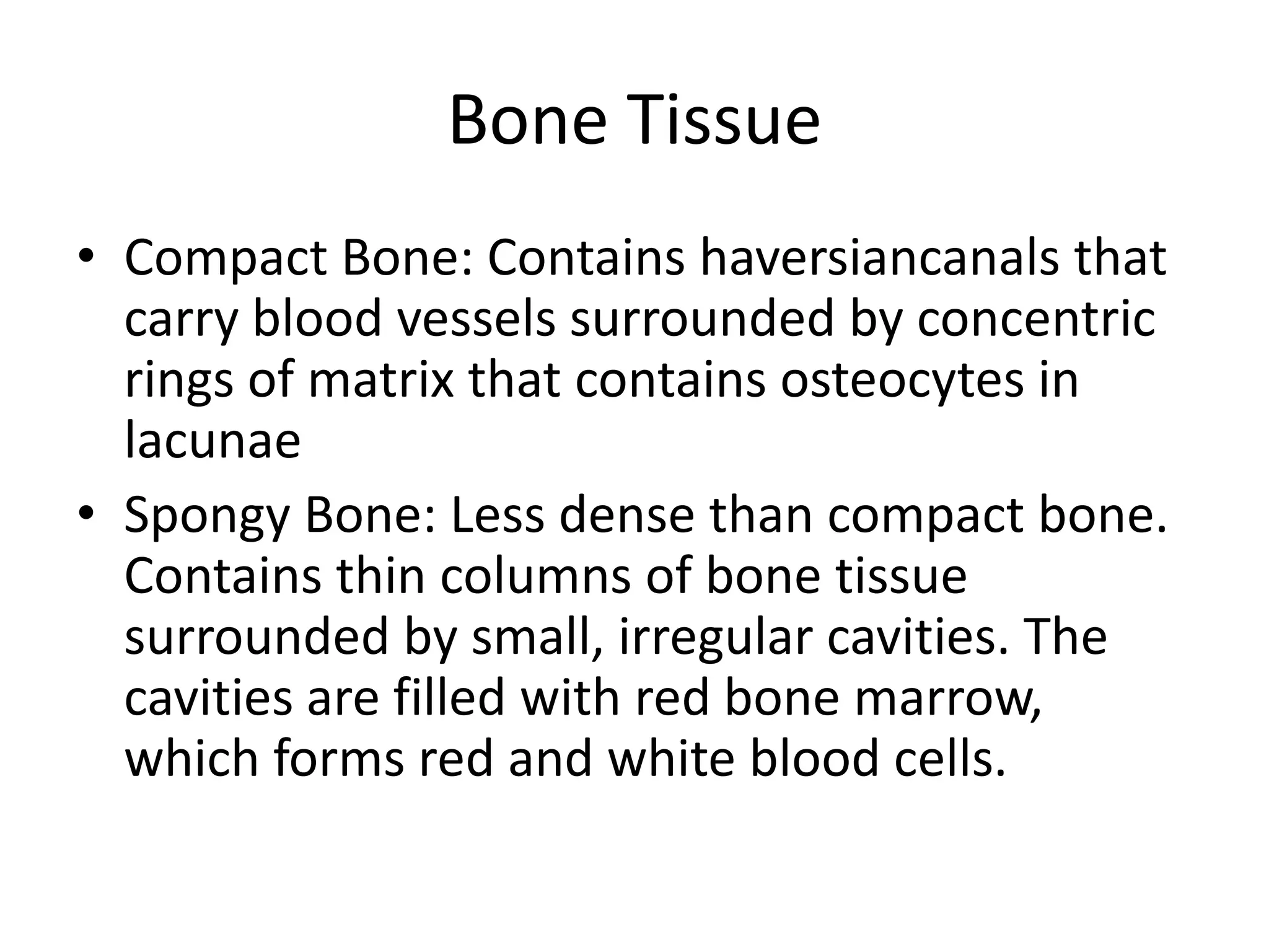 Bone structure | PPTX